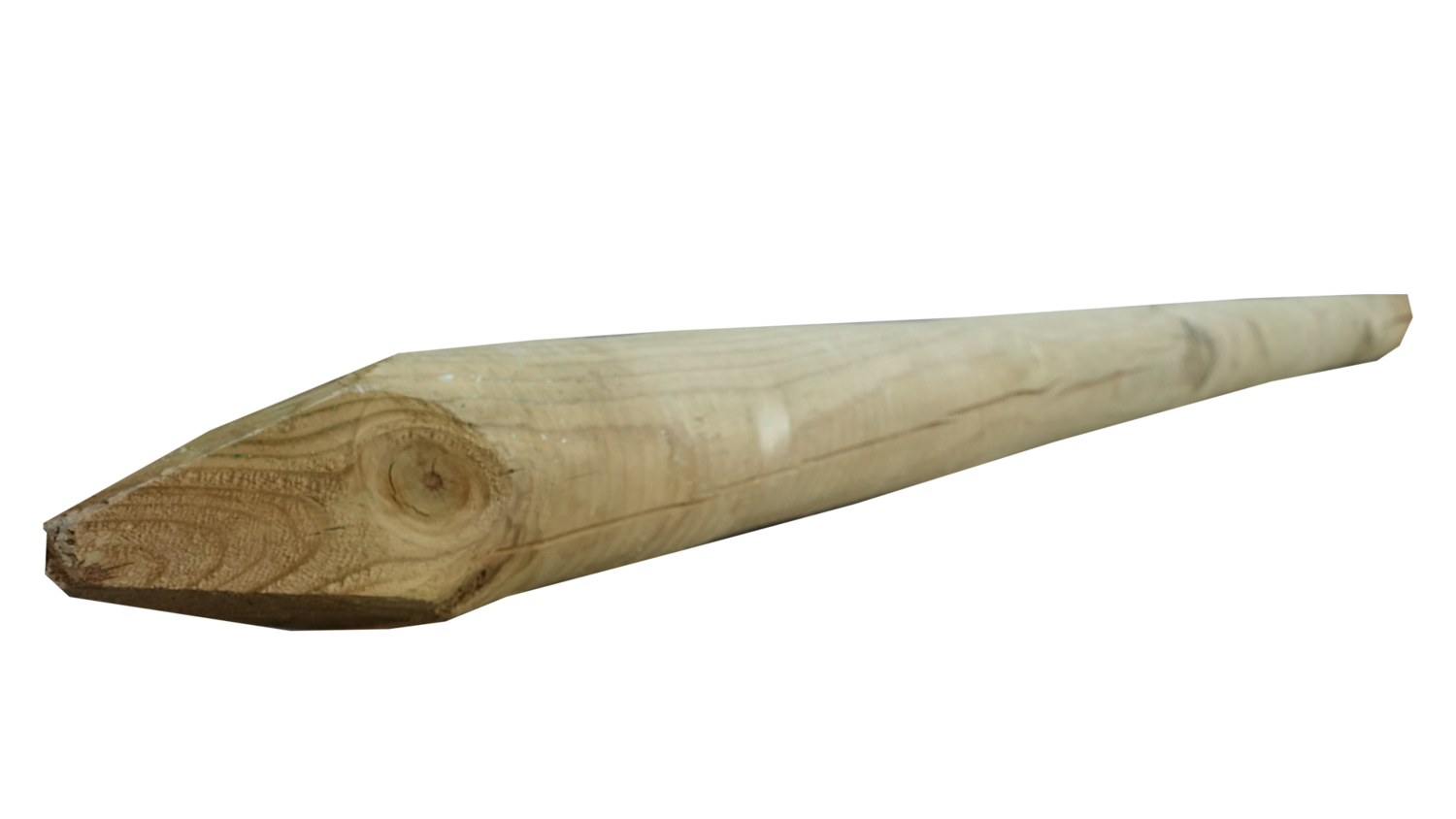 Palisada faza / szpic 6x100 - Martyna